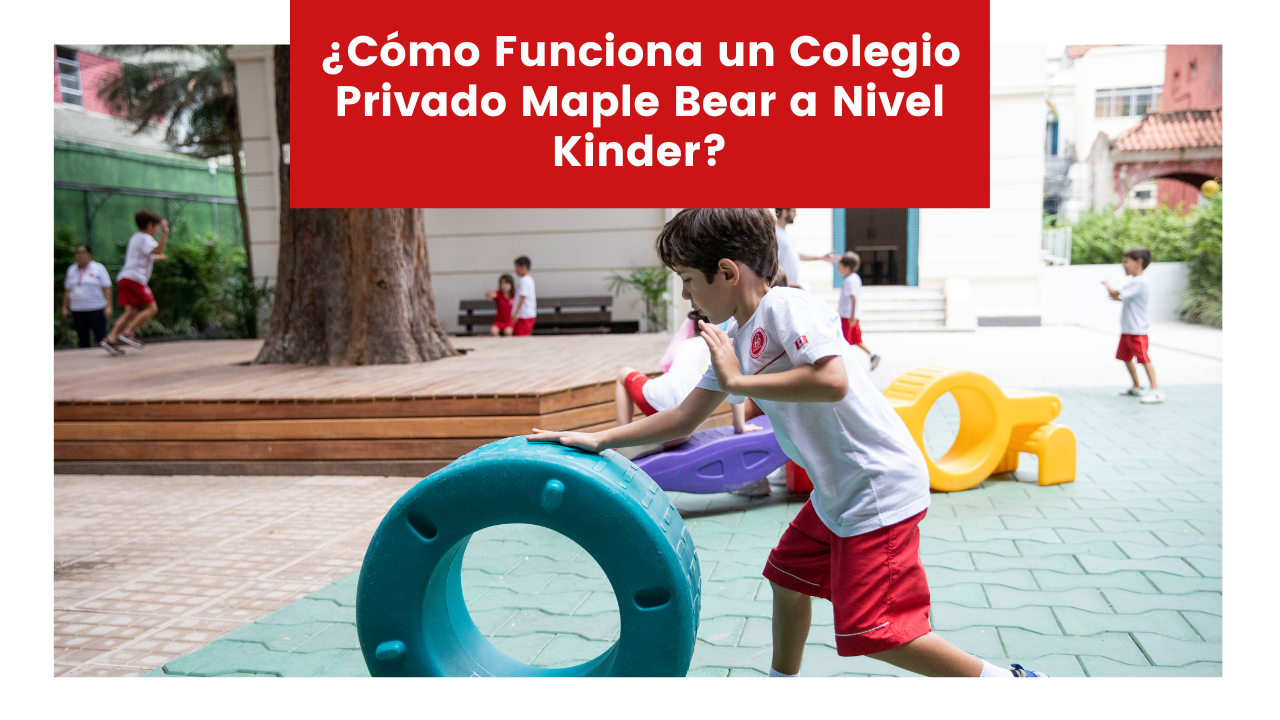 ¿Cómo Funciona un Colegio Privado Maple Bear a Nivel Kinder? - Maple ...